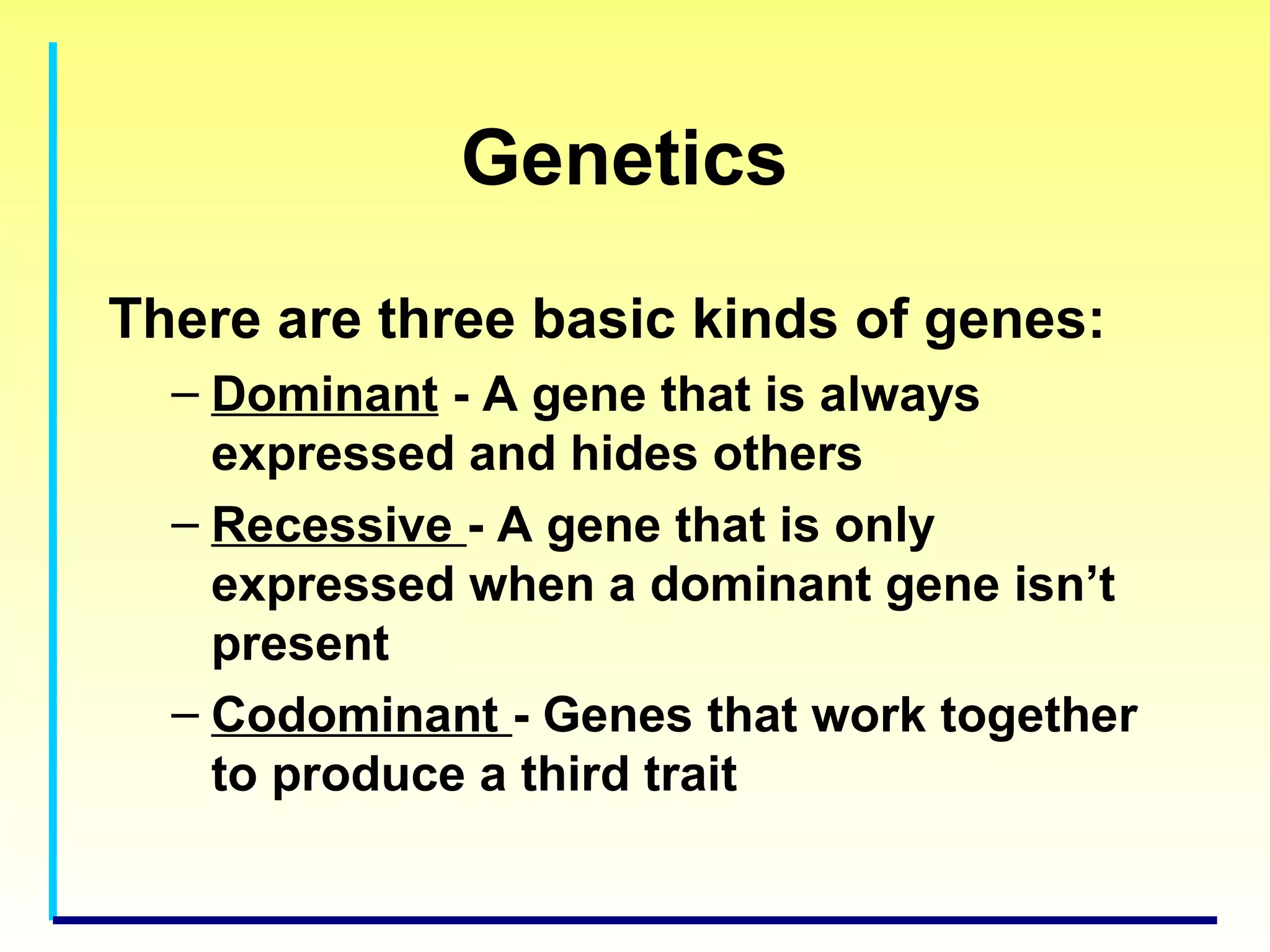 Genetics for kids | PPT