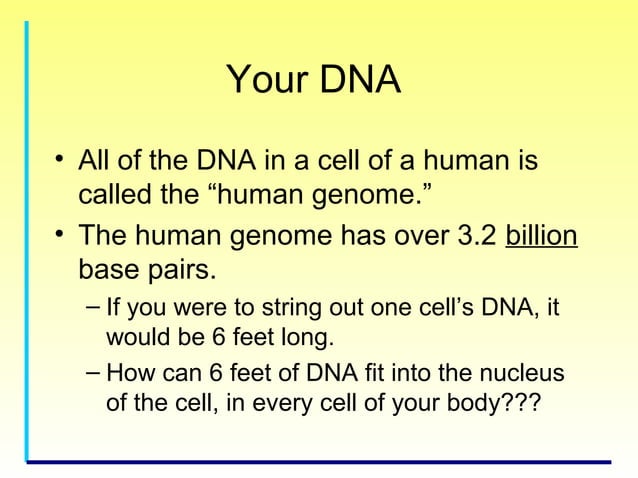 Genetics for kids | PPT | Genetics | Science