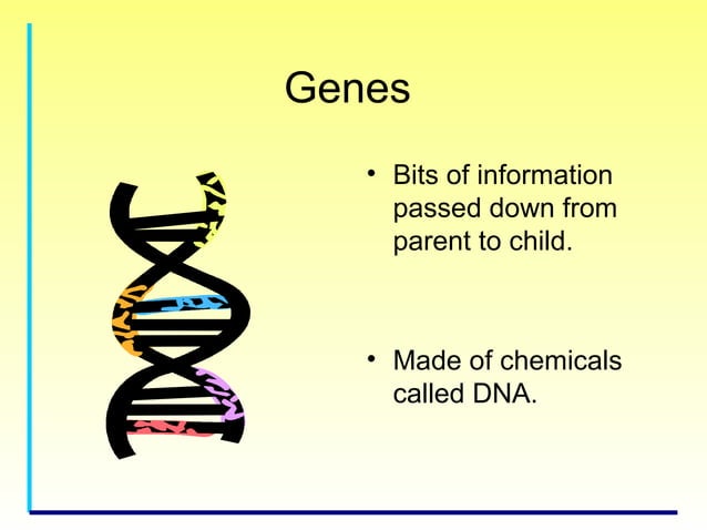 Genetics for kids | PPT | Genetics | Science