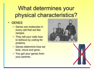 Genetics for kids | PPT
