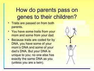Genetics for kids | PPT