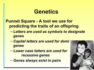 Genetics for kids | PPT