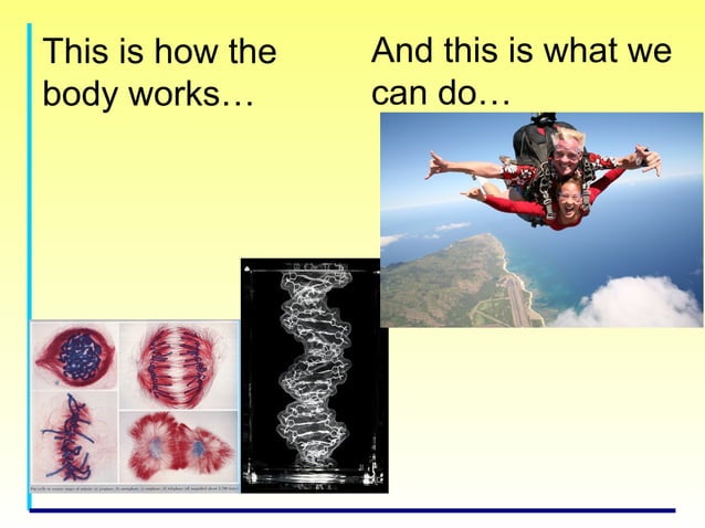 Genetics for kids | PPT | Genetics | Science