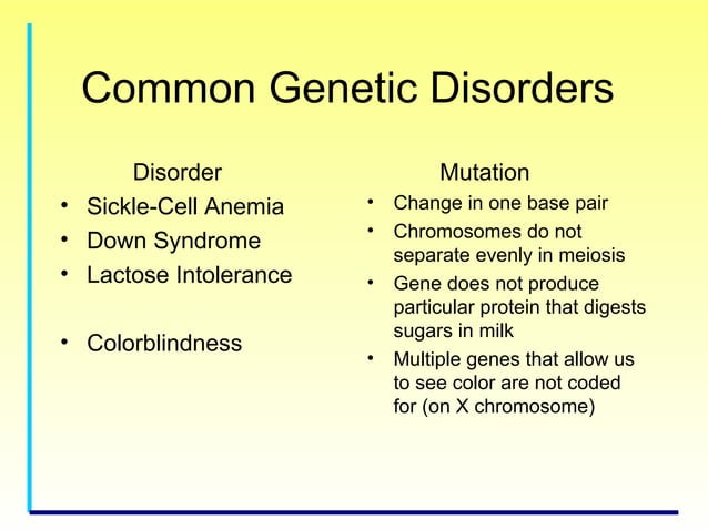 Genetics for kids | PPT | Genetics | Science