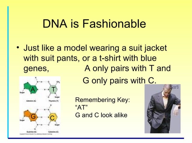 Genetics for kids | PPT | Genetics | Science