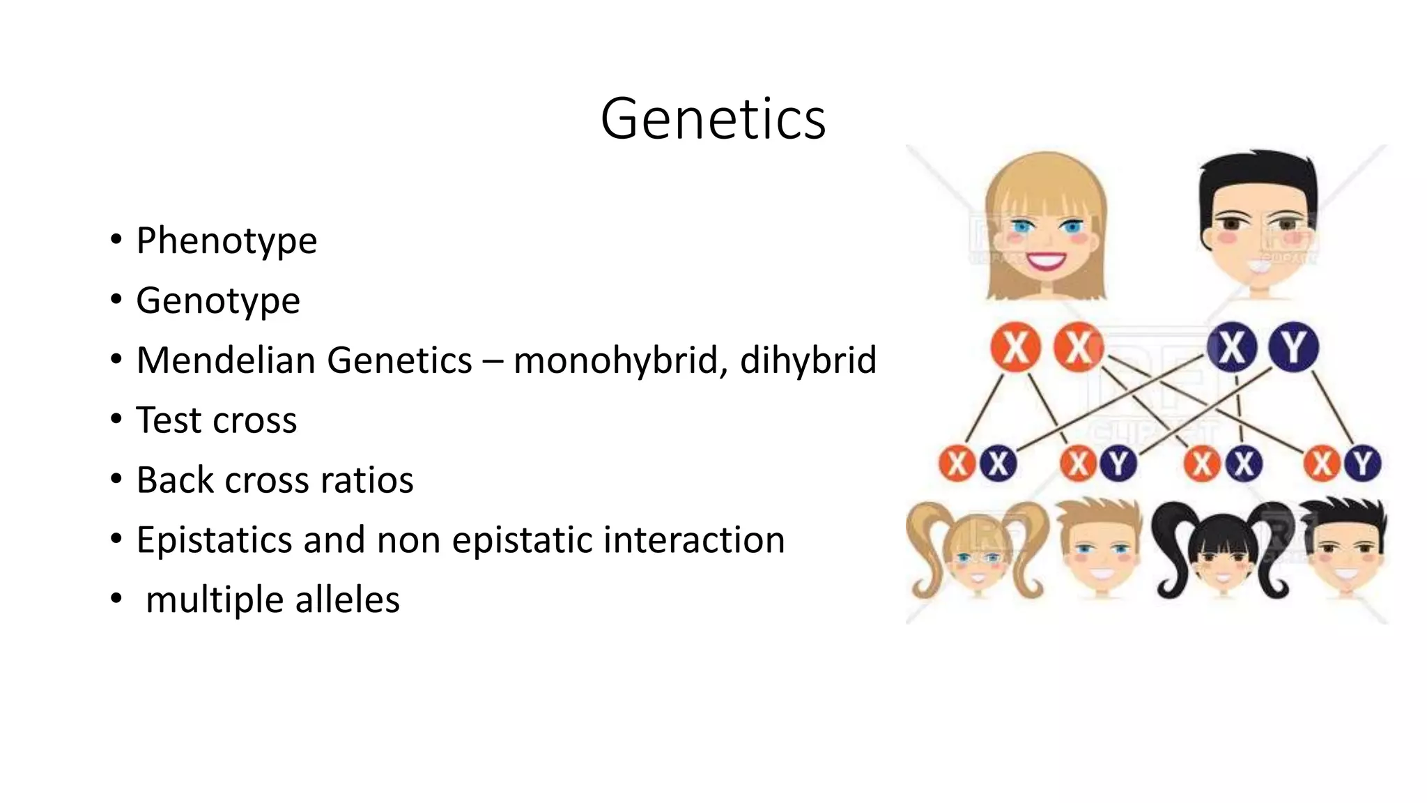 Genetics FY ppt.pptx