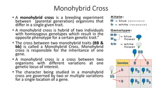Genetics FY ppt.pptx