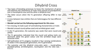 Genetics FY ppt.pptx