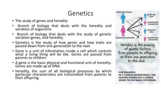 Genetics FY ppt.pptx