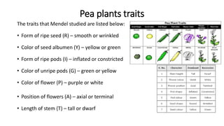 Genetics FY ppt.pptx