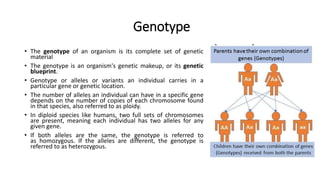 Genetics FY ppt.pptx
