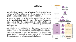 Genetics FY ppt.pptx