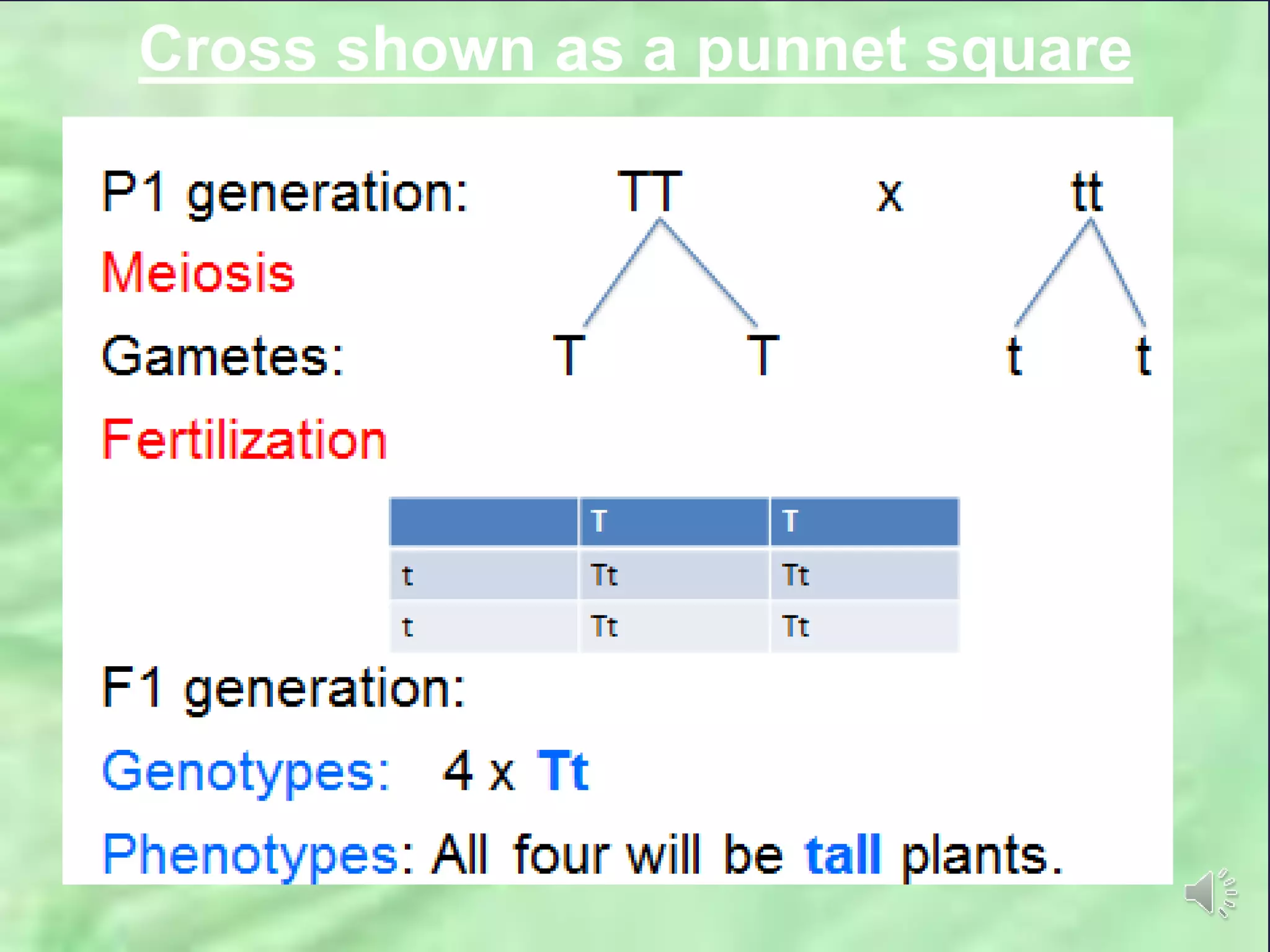 genetics and inheritance | PPTX