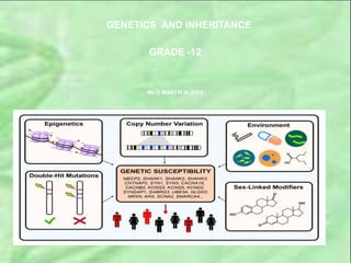 genetics and inheritance | PPTX