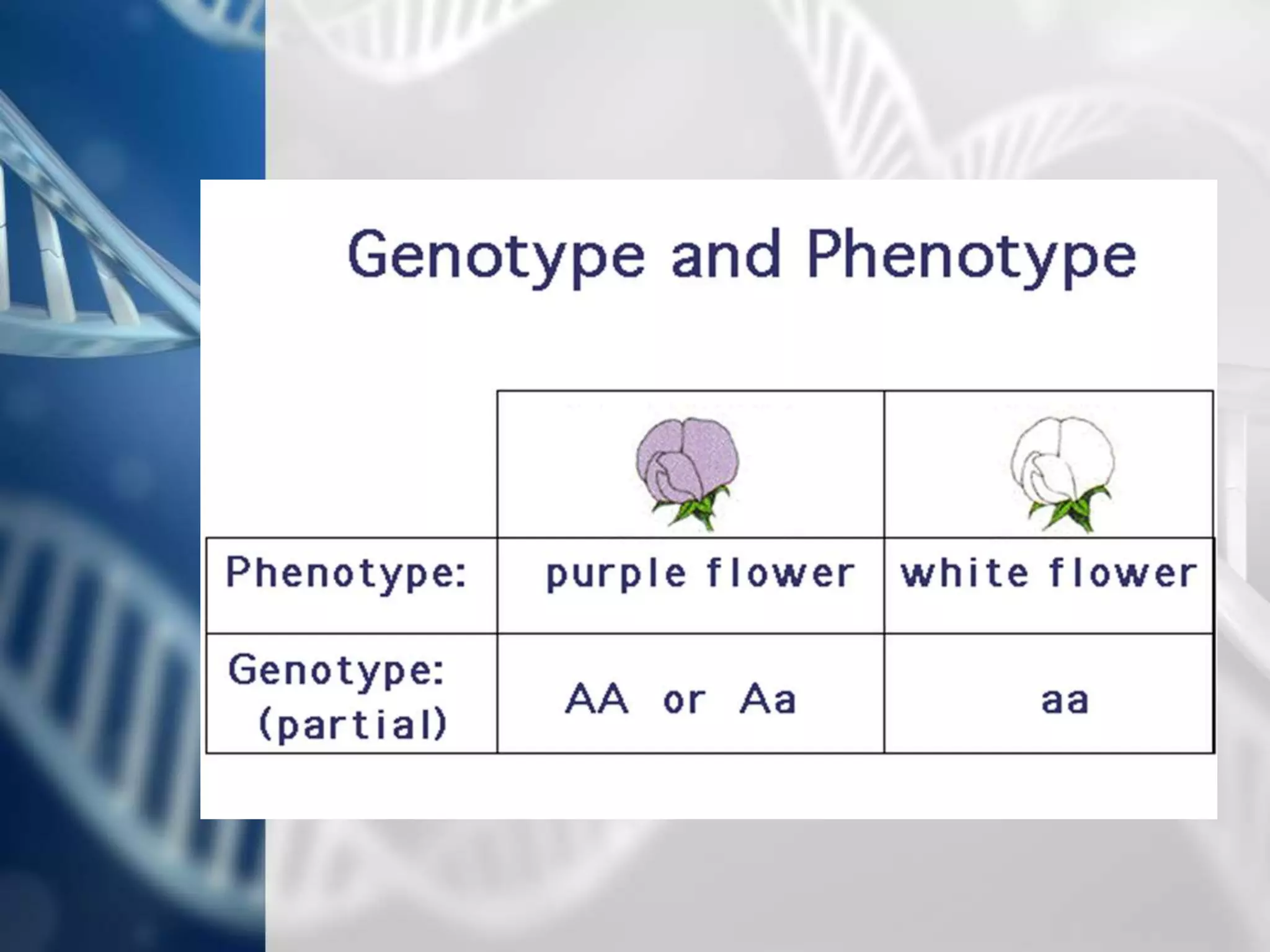 Genetics/ Gen. BIOLOGY 2 | PPTX