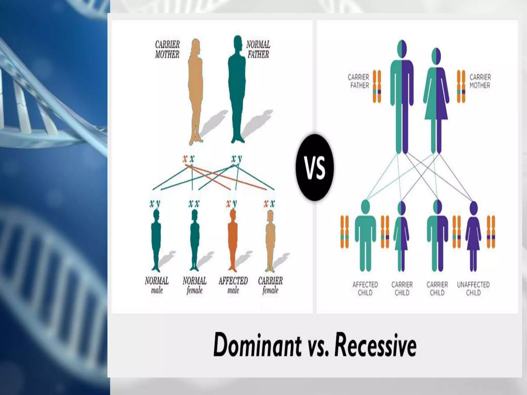 Genetics/ Gen. BIOLOGY 2 | PPTX