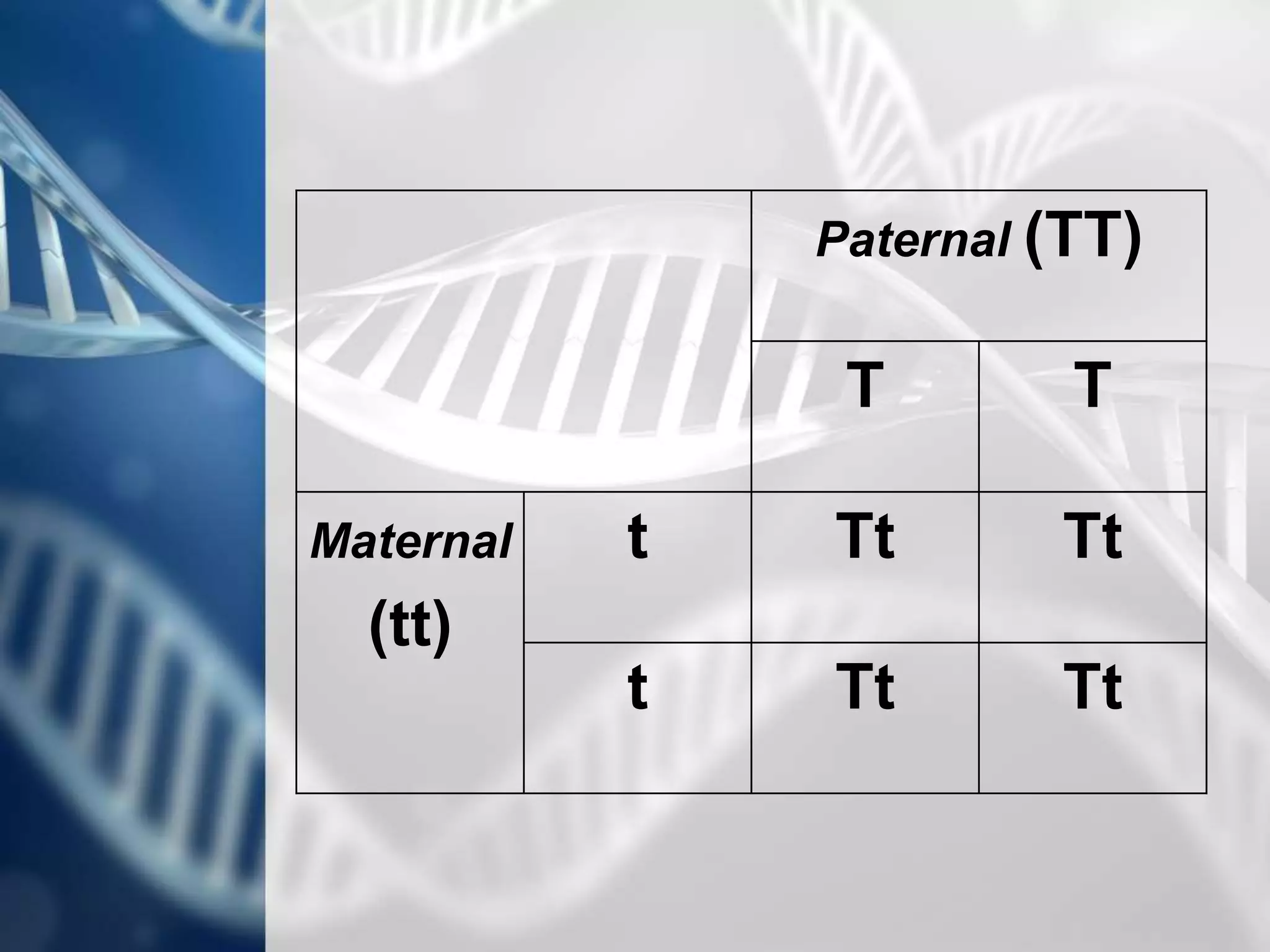 Genetics/ Gen. BIOLOGY 2 | PPTX