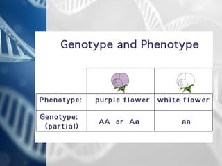 Genetics/ Gen. BIOLOGY 2 | PPTX