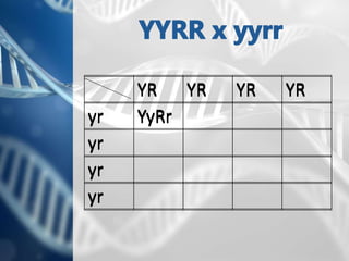 Genetics/ Gen. BIOLOGY 2 | PPTX