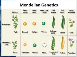 Genetics/ Gen. BIOLOGY 2 | PPTX