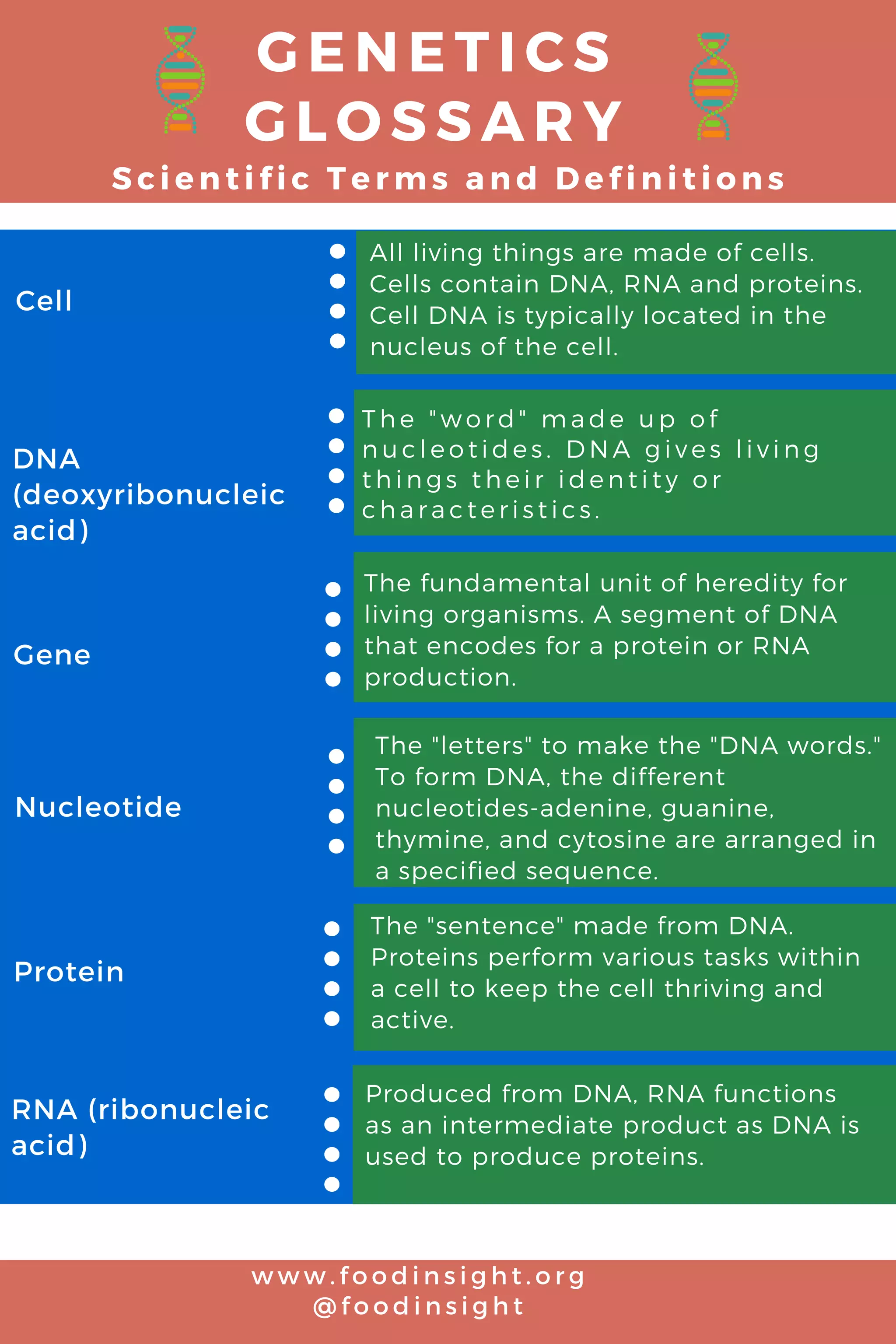 Genetics Glossary: Scientific Terms and Definitions | PDF
