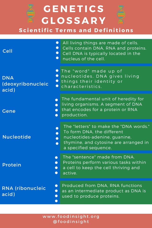 Genetics Glossary: Scientific Terms and Definitions | PDF