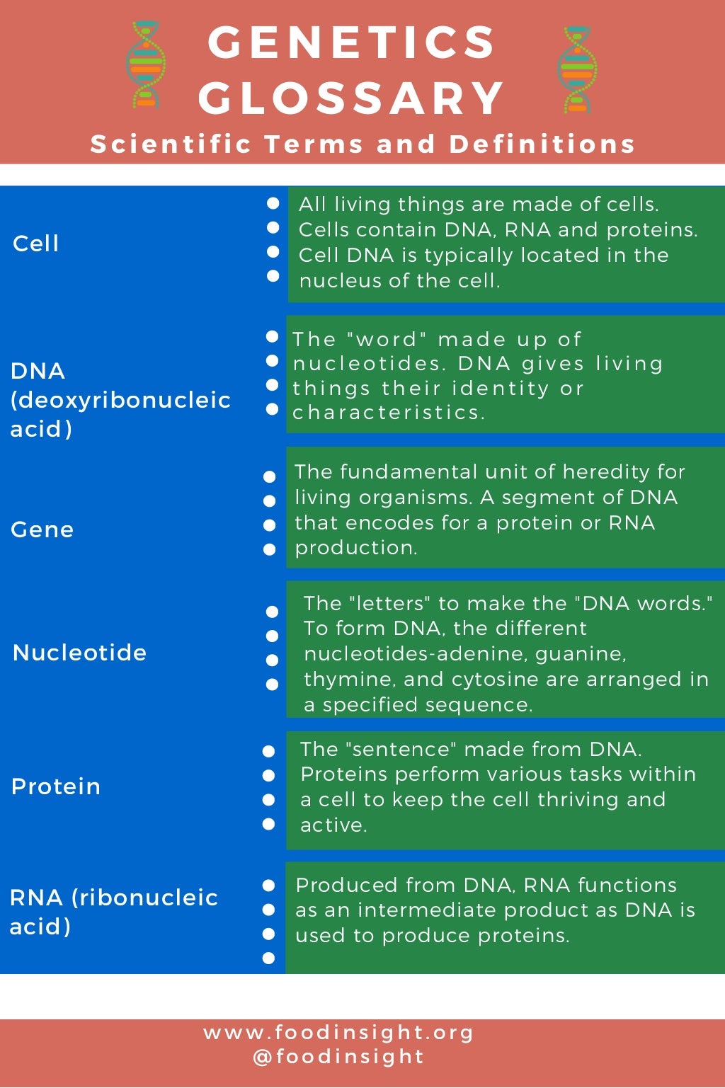 Genetics Glossary: Scientific Terms and Definitions