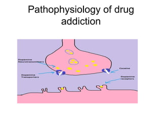 Drugs Addiction | PPT