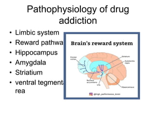 Drugs Addiction | PPT