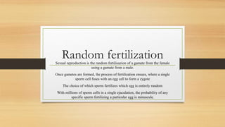 genetics_grp_presssbhbskbhkbshcbhhbsh.pptx