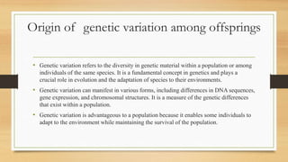 genetics_grp_presssbhbskbhkbshcbhhbsh.pptx