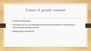 genetics_grp_presssbhbskbhkbshcbhhbsh.pptx