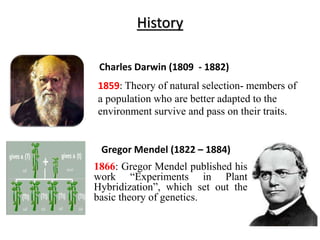 Genetics _ Health 1.pptx | Reproductive Health | Diseases and Conditions