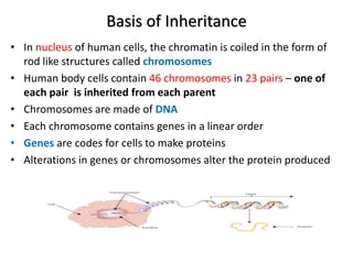 Genetics _ Health 1.pptx | Reproductive Health | Diseases and Conditions
