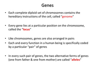 Genetics _ Health 1.pptx