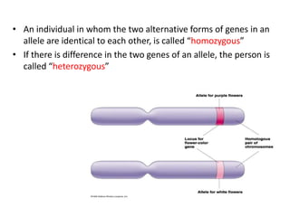 Genetics _ Health 1.pptx