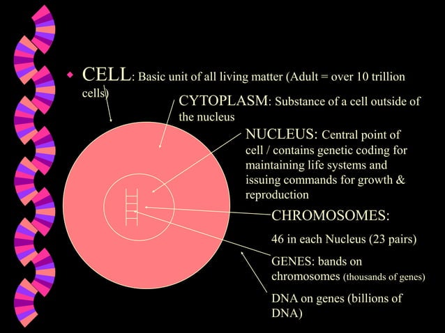 Genetics_Heredity.ppt