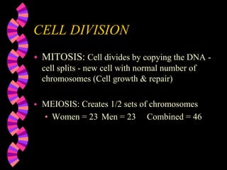 Genetics_Heredity.ppt