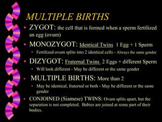 Genetics_Heredity.ppt