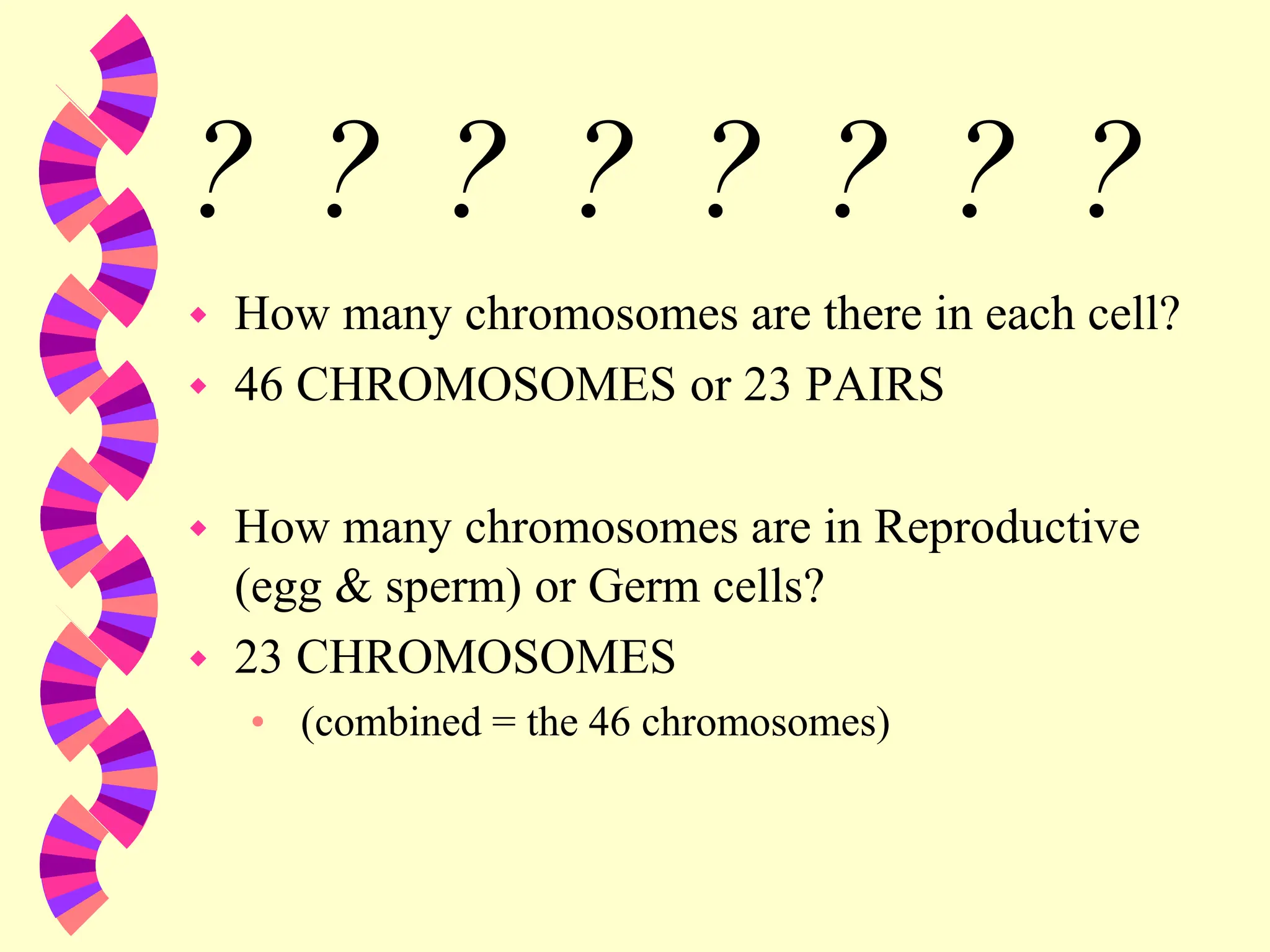 Genetics_Heredity.pptGenetics_Heredity.ppt
