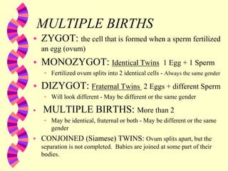 Genetics_Heredity.pptGenetics_Heredity.ppt