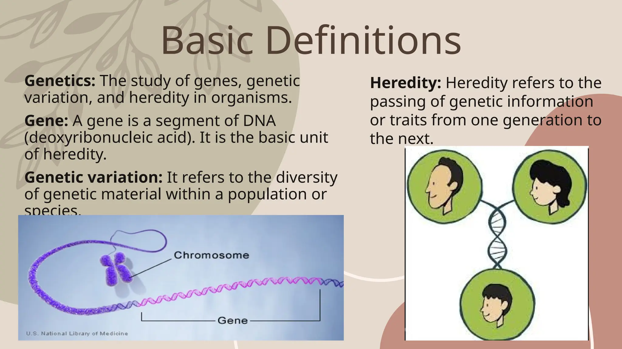 Introduction to Genetics & Heredity by AK | PPT