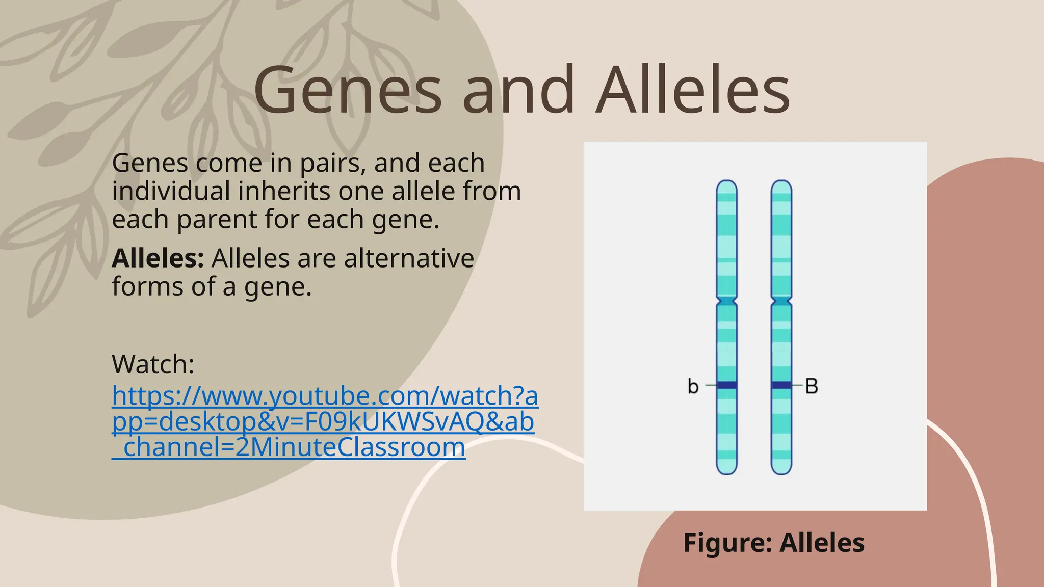 Introduction to Genetics & Heredity by AK | PPT