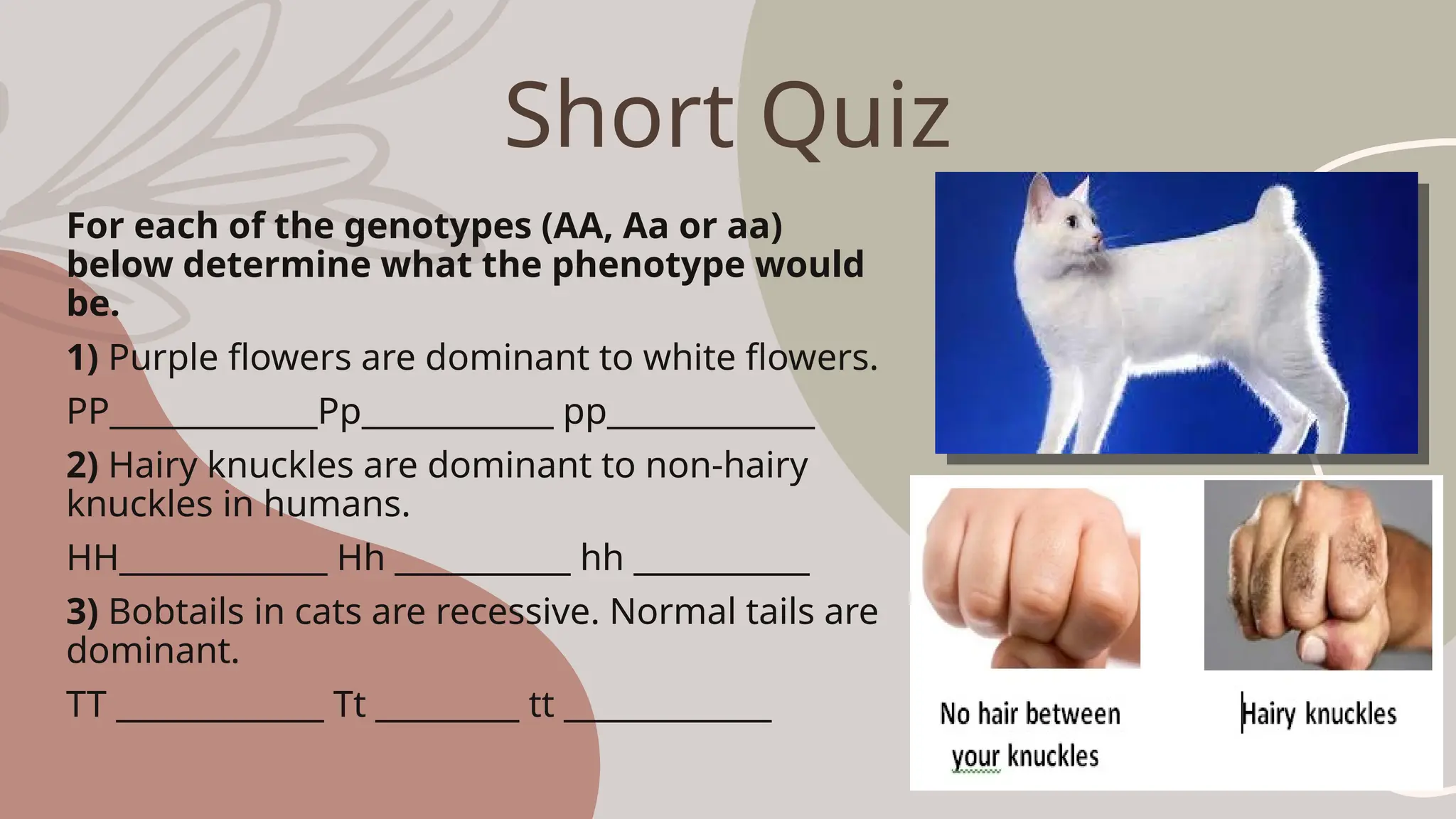 Introduction to Genetics & Heredity by AK | PPT