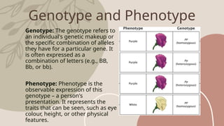 Introduction to Genetics & Heredity by AK | PPTX