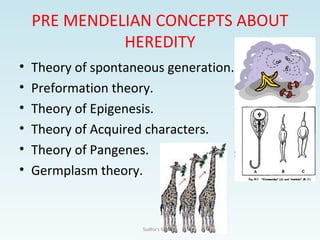 Genetics history sudha | PPT
