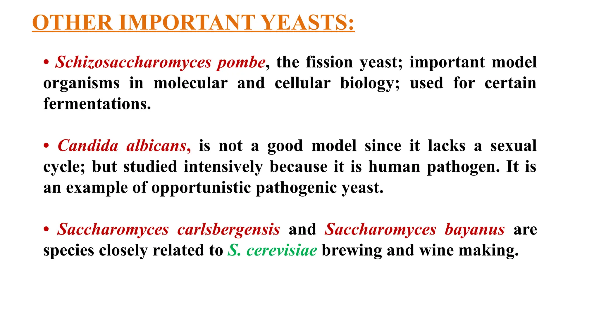 Yeast Mating Types: Unraveling the Secrets of Sexual Reproduction in ...