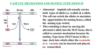 Yeast Mating Types: Unraveling the Secrets of Sexual Reproduction in ...