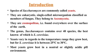 Yeast Mating Types: Unraveling the Secrets of Sexual Reproduction in ...