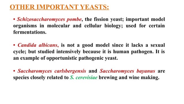 Yeast Mating Types: Unraveling the Secrets of Sexual Reproduction in ...